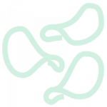 Services - Cal Mal - Vending Services